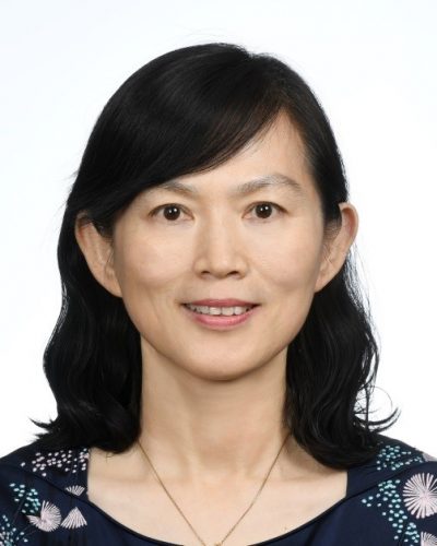 Ming Liu - University of Macau | State Key Laboratory of Analog and ...